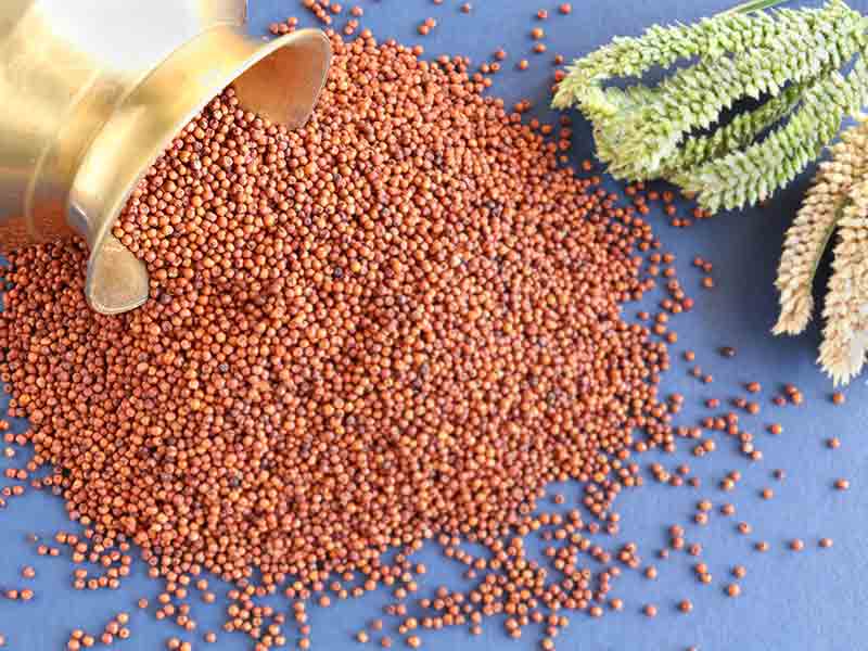 Ragi Health Benefits What Are The Various Health Benefits Of Eating Ragi